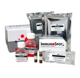 Immunoassay Development & Validation Services | ImmunoSpot®