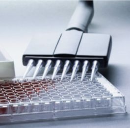 ELISA Testing Services | ImmunoSpot®