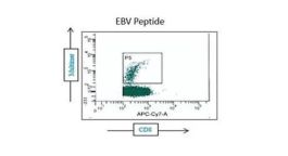 ImmunoSpot® - Flow Cytometry Testing
