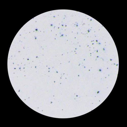 ImmunoSpot® - BioSpot™ Software Suite